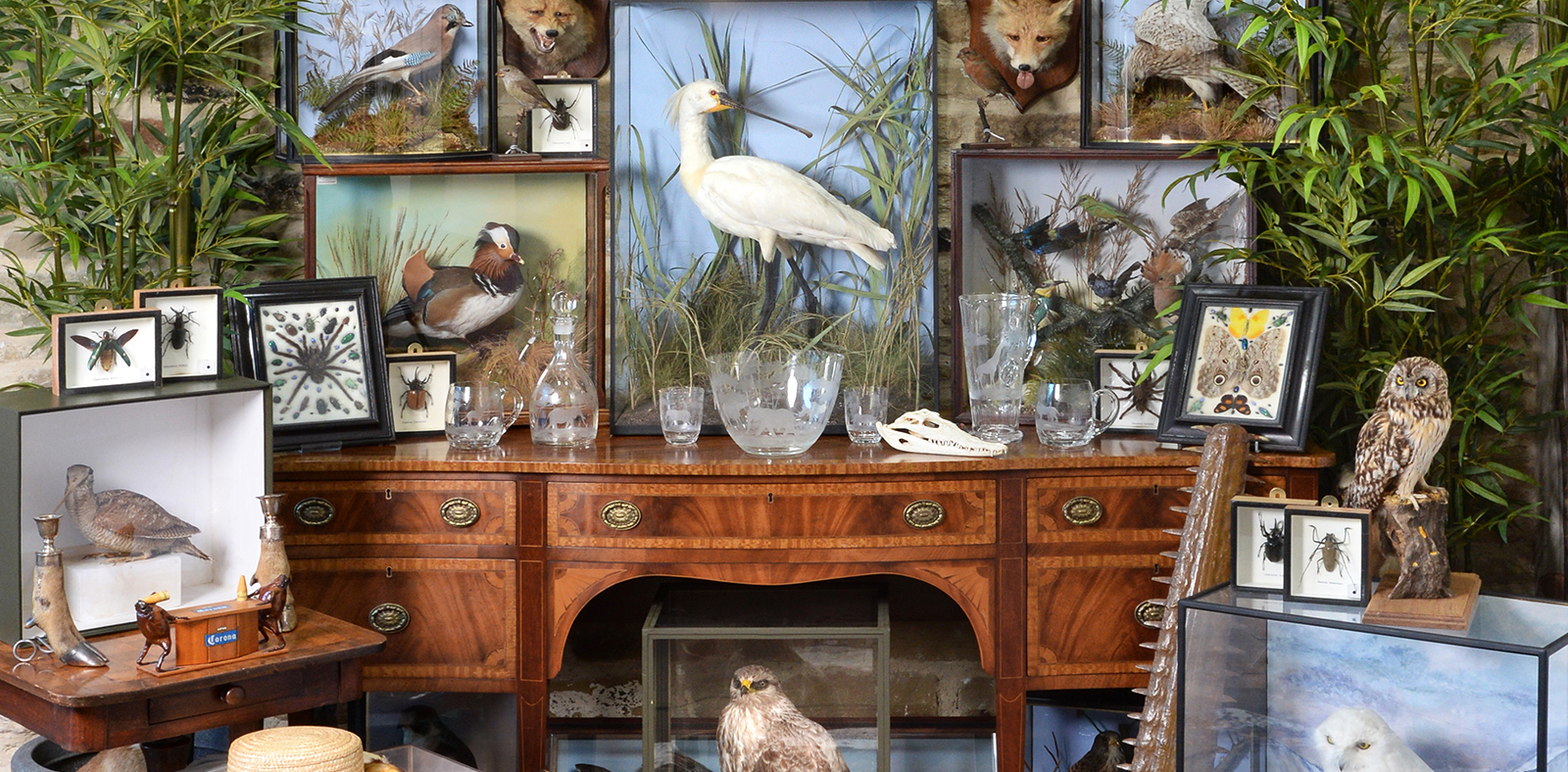 Tennants Auctioneers