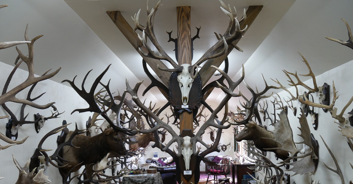 Tennants Auctioneers